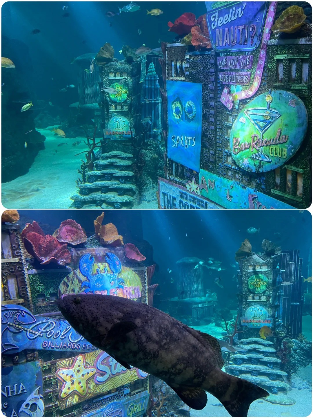 An Underwater Wonderland in NYC?! Pure Magic! ️😍 by Gertrude Harris ...
